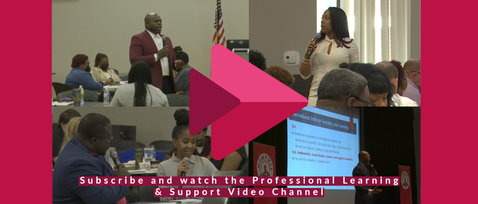 Professional Learning & Support